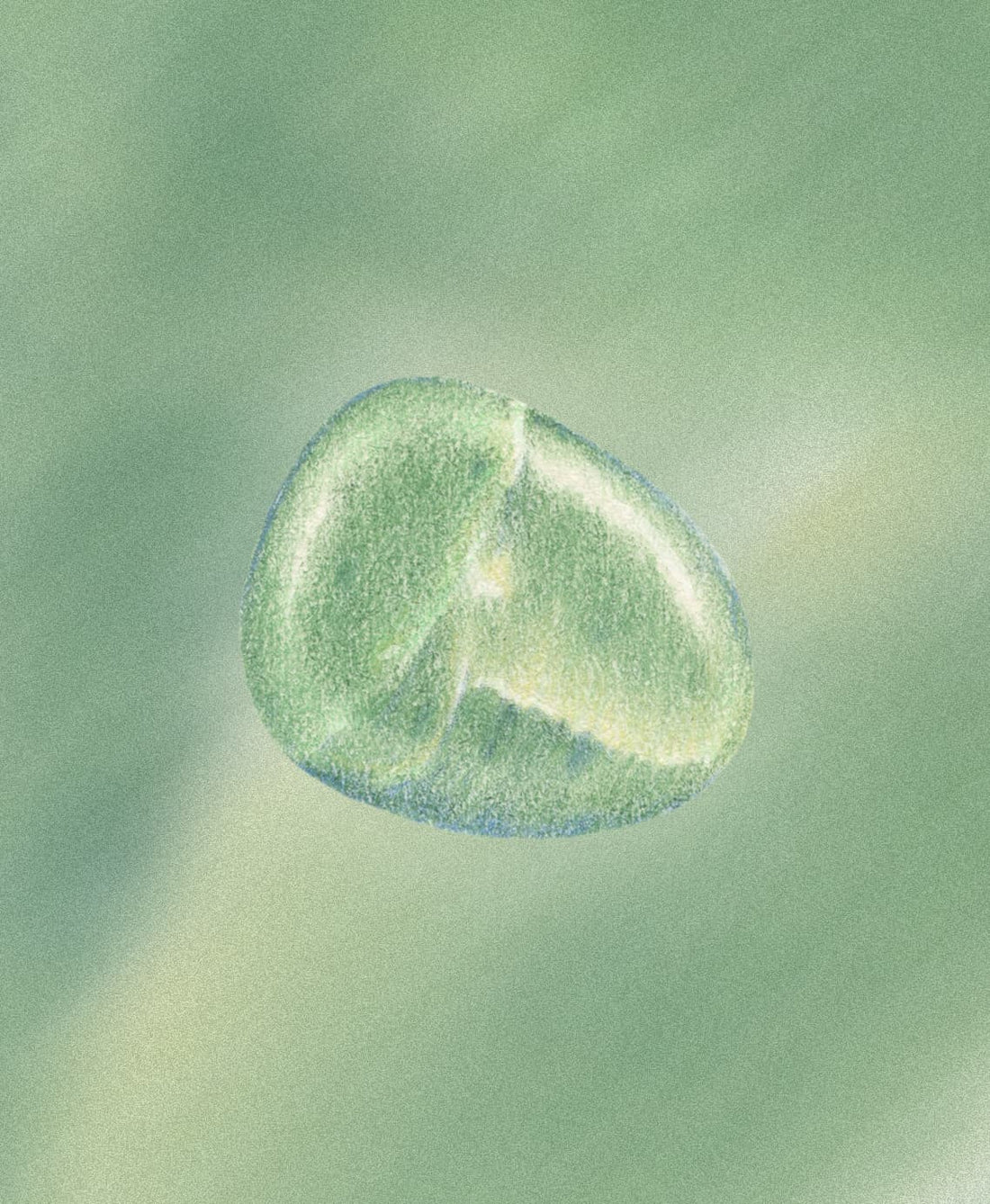 WHICH CRYSTAL YOU NEED BASED ON YOUR ZODIAC SIGN | MOTHER DENIM